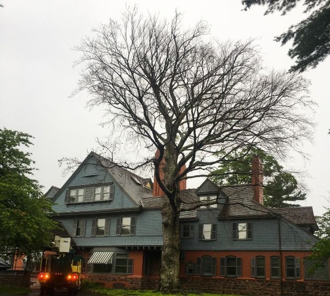 How To Maintaining Your Roof » Residence Style