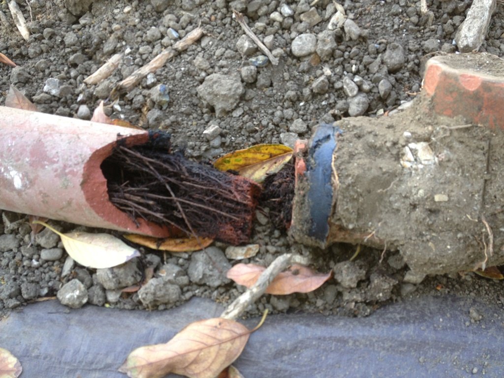 5 Common Drainage Issues and Their Solutions » Residence Style