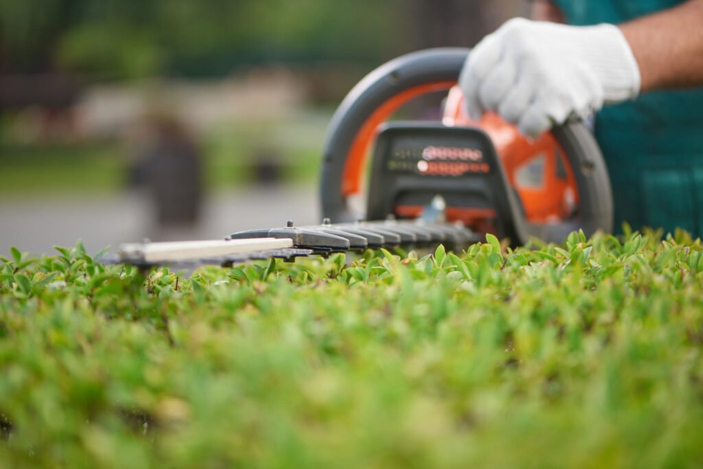 5 Essential Landscaping Tools for New Homeowners » Residence Style