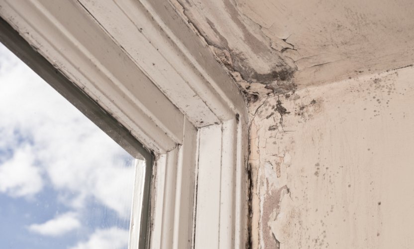 What Is Housing Disrepair? » Residence Style