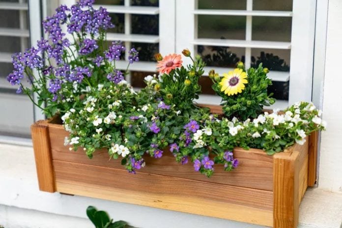 Strategic Places To Position Your Plant Boxes » Residence Style