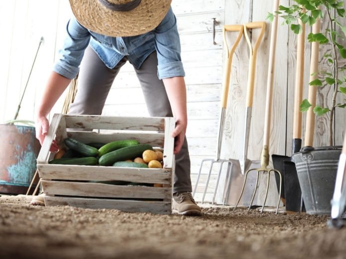 How to Start a Farm, a Step-by-Step Guide » Residence Style