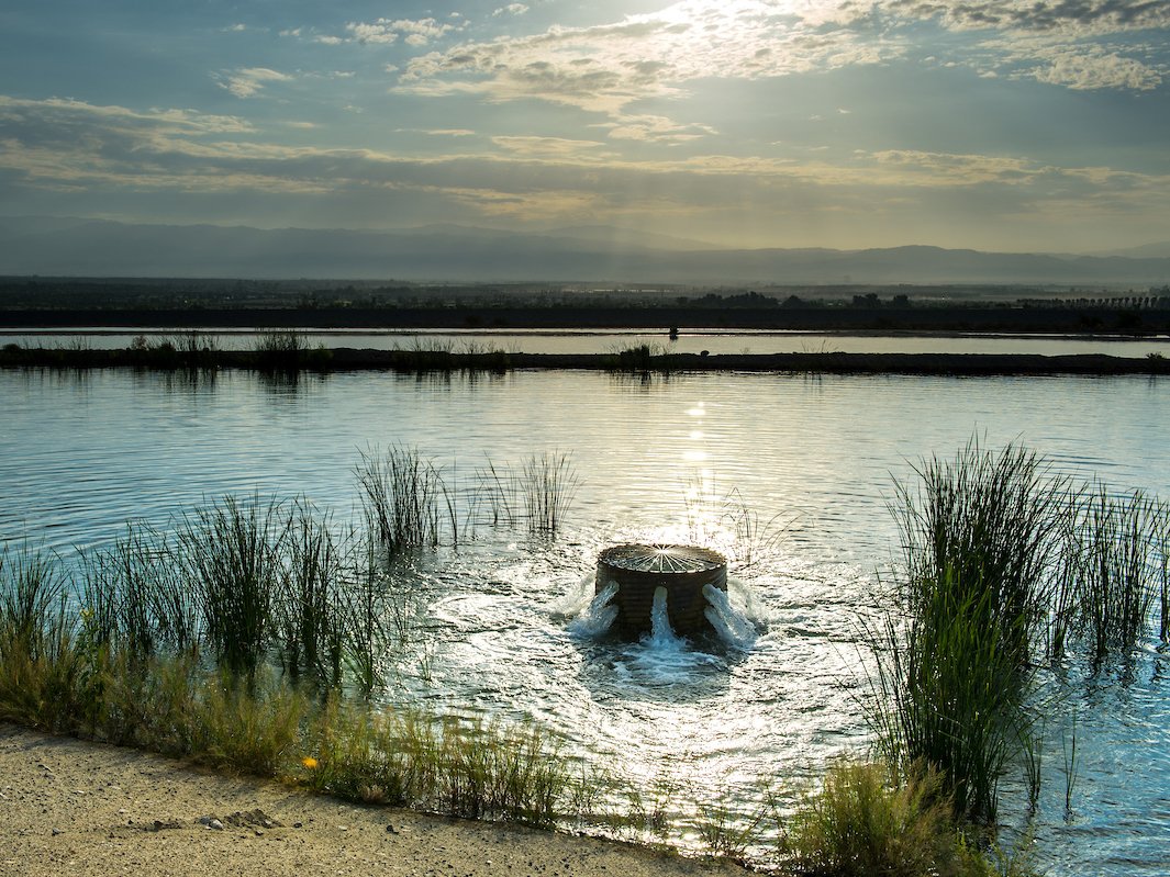 The Water Rights Permitting Process in the State of California ...