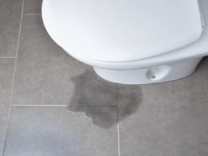 What Is Toilet Sweating and How Can You Stop It? » Residence Style