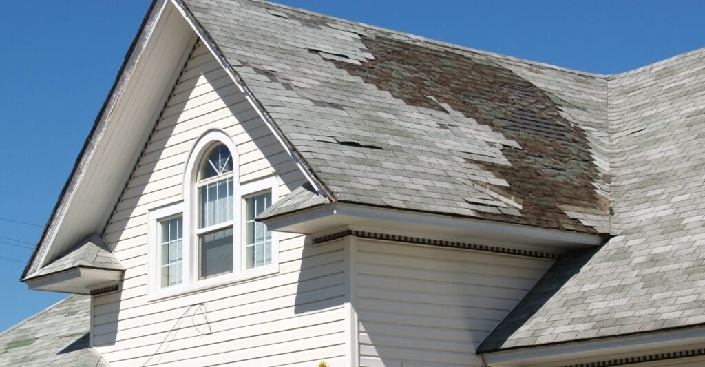 Neglecting Your Roof: The Consequences of Failing to Clean and Maintain ...