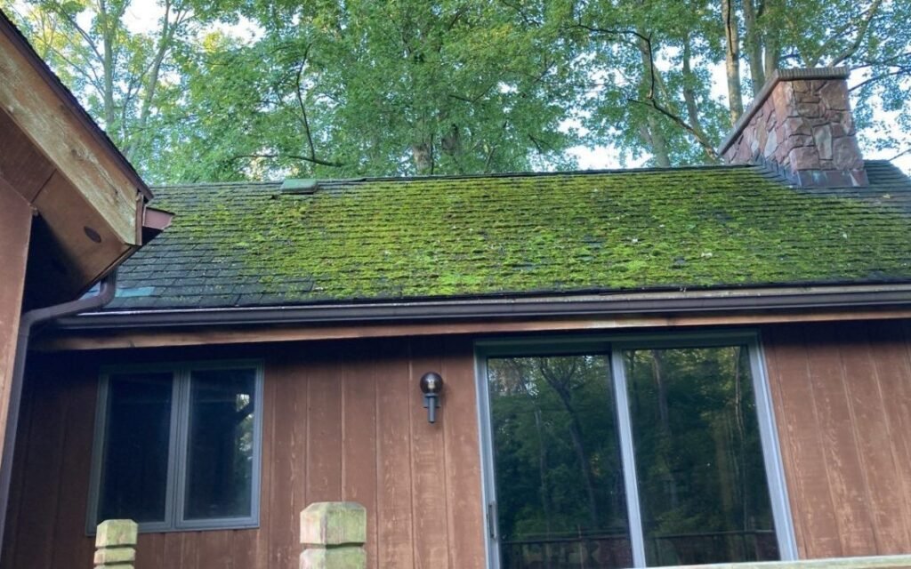 Neglecting Your Roof: The Consequences of Failing to Clean and Maintain ...