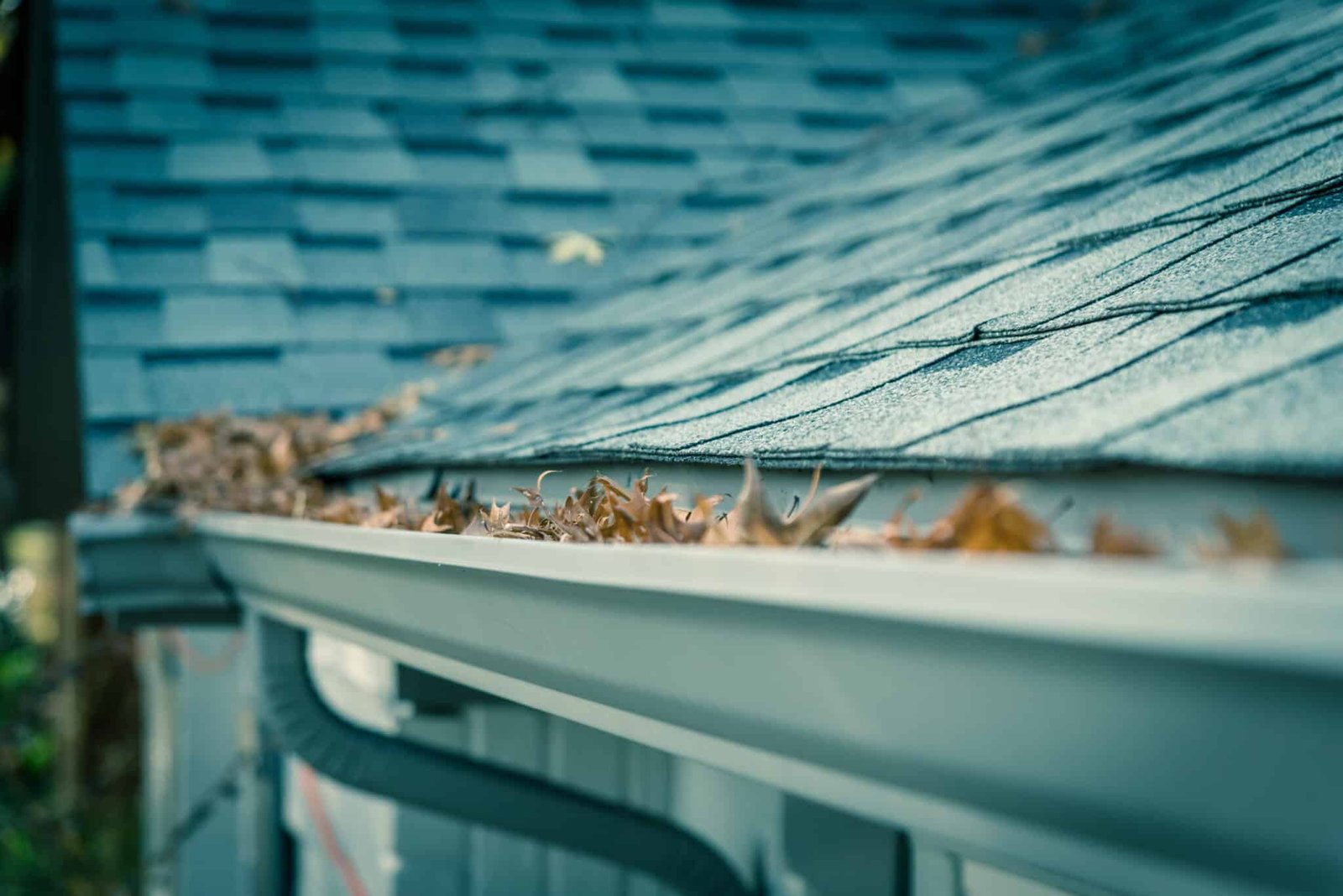 Fall Is the Right Time to Have Your Home's Gutters Cleaned! » Residence ...