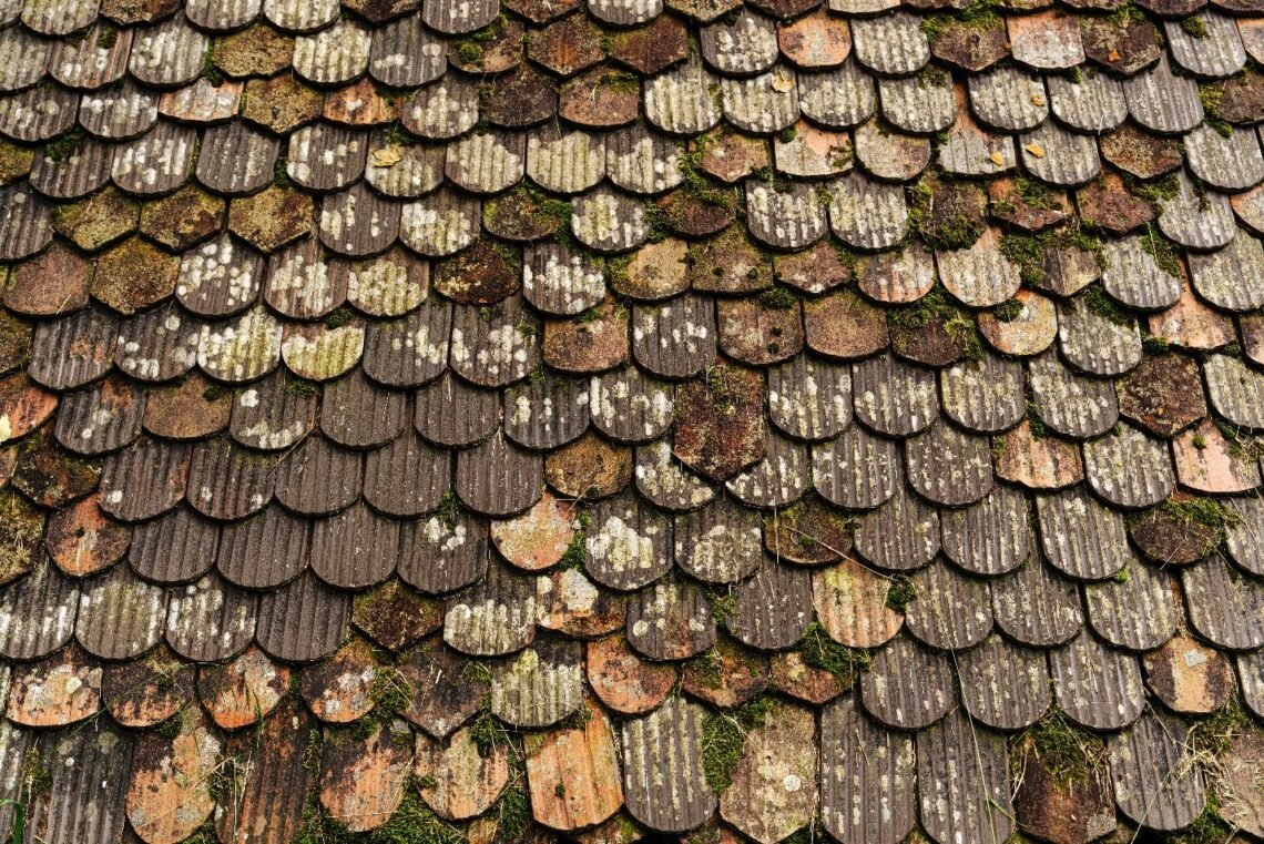 Everything You Need to Know About Roof Shingle Repair and Maintenance ...